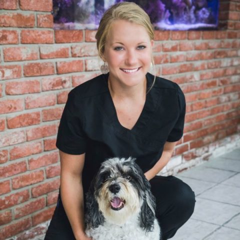 Meet Our Staff - Animal Medical Center of Troy