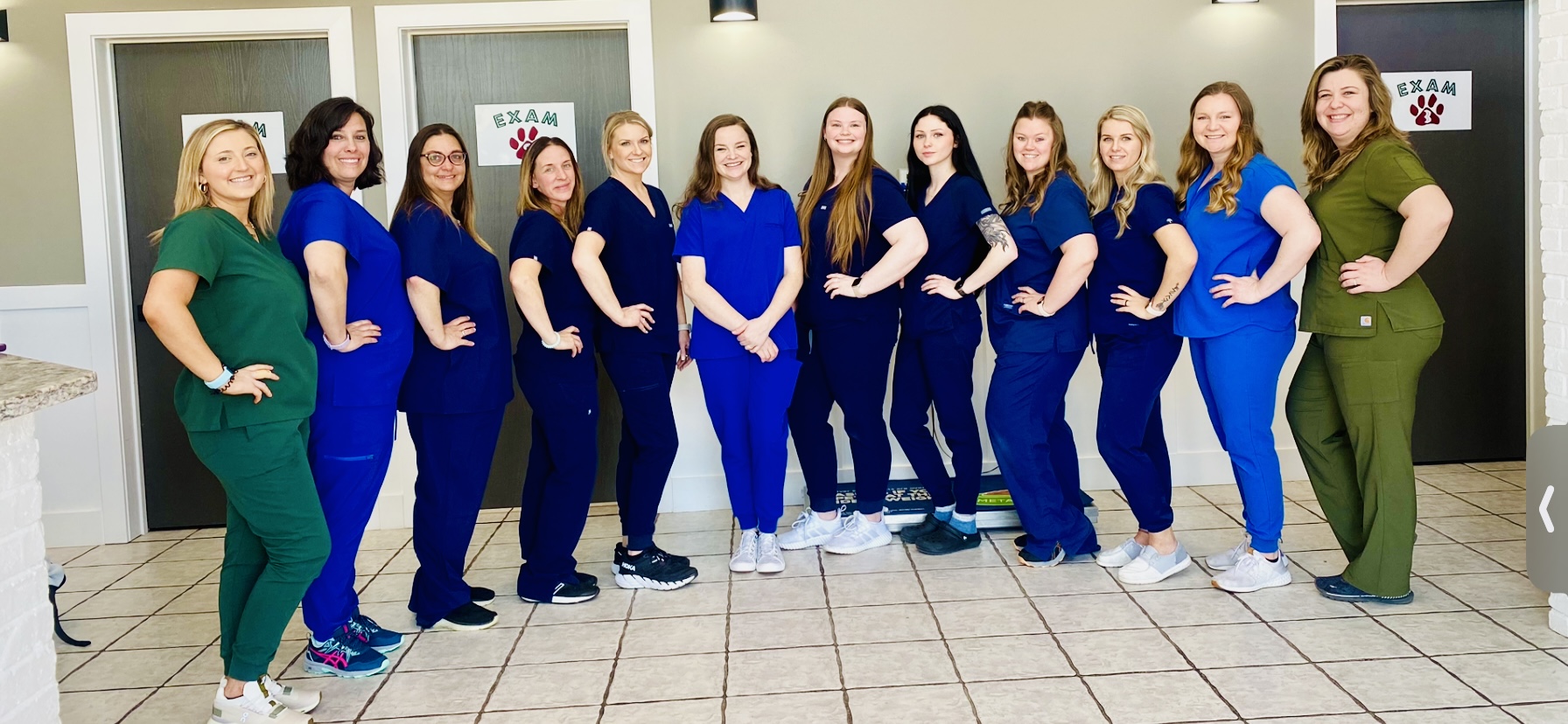 Meet Our Staff - Animal Medical Center of Troy